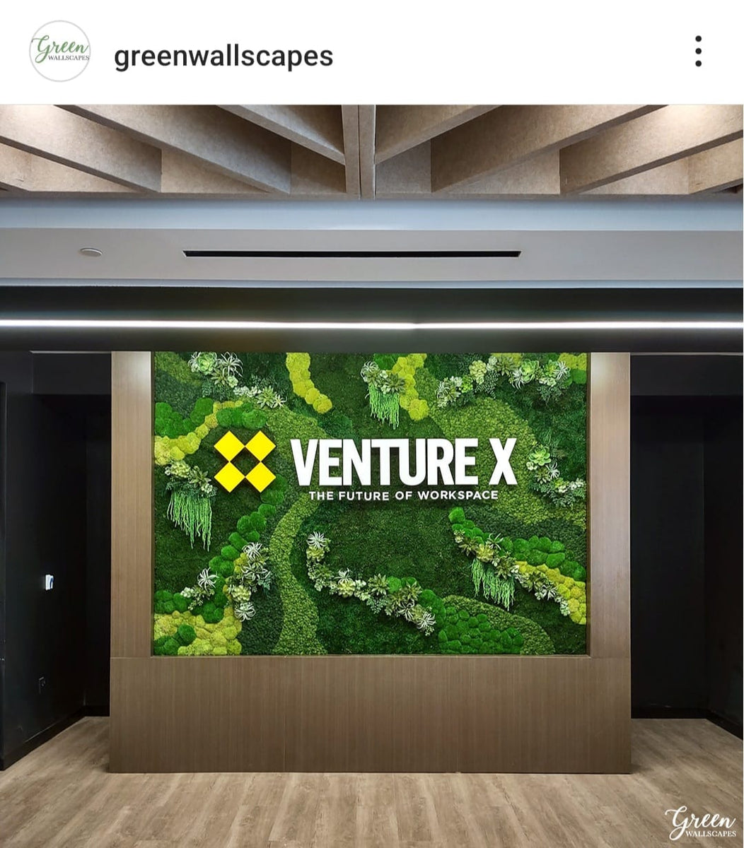 Moss Logos: Infusing Your Brand with a Unique Identity – Green Wallscapes