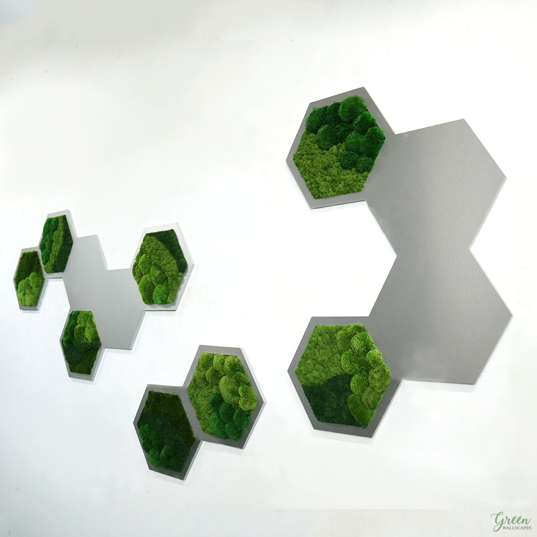 Moss Art with Metallic Details – Green Wallscapes