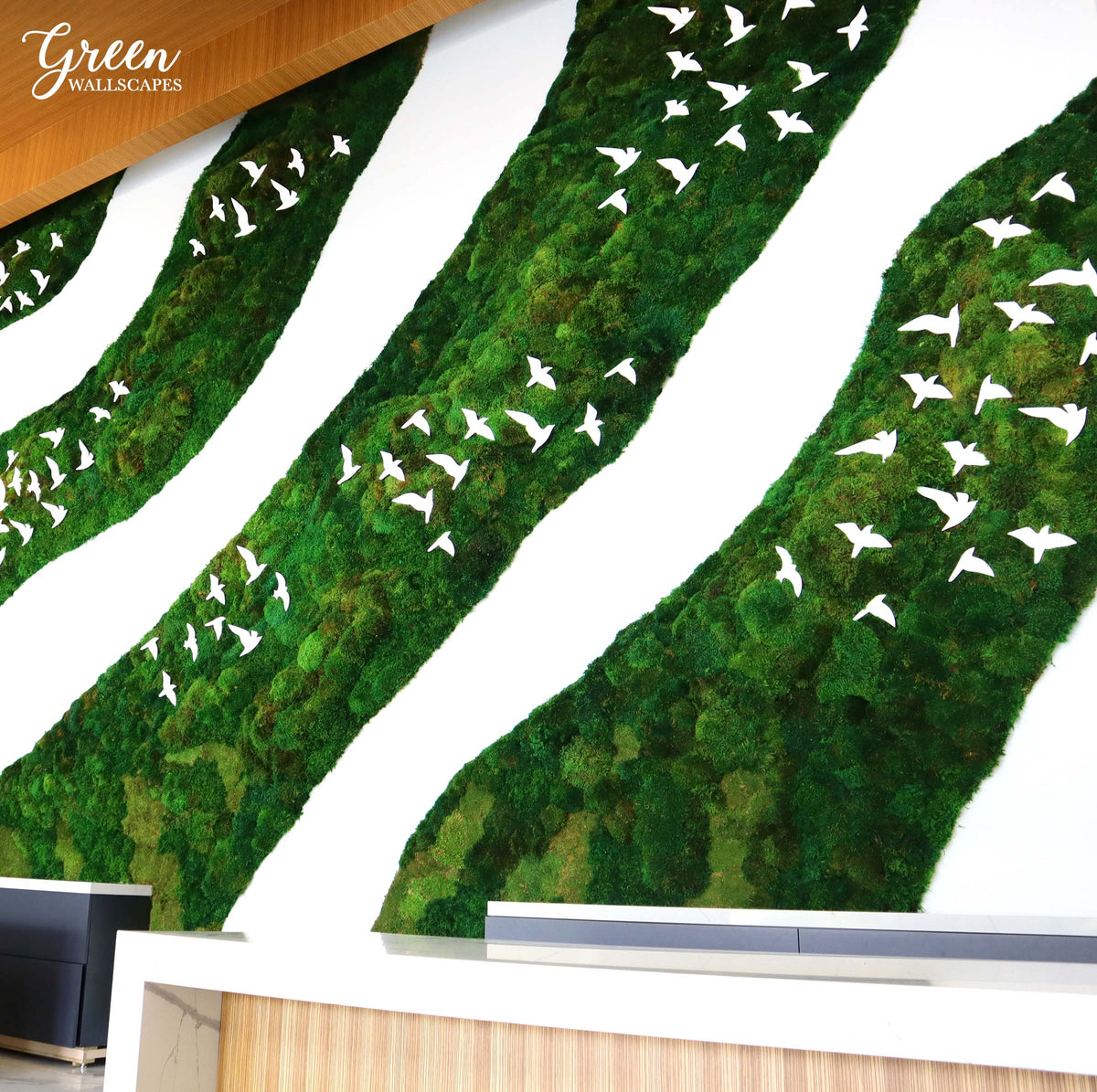 Interior Green Wall Installations – Green Wallscapes