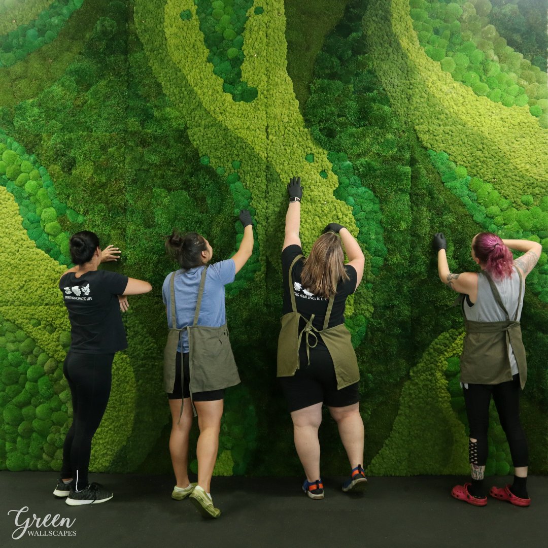 Everything You Need to Know About Custom Moss Walls – Green Wallscapes