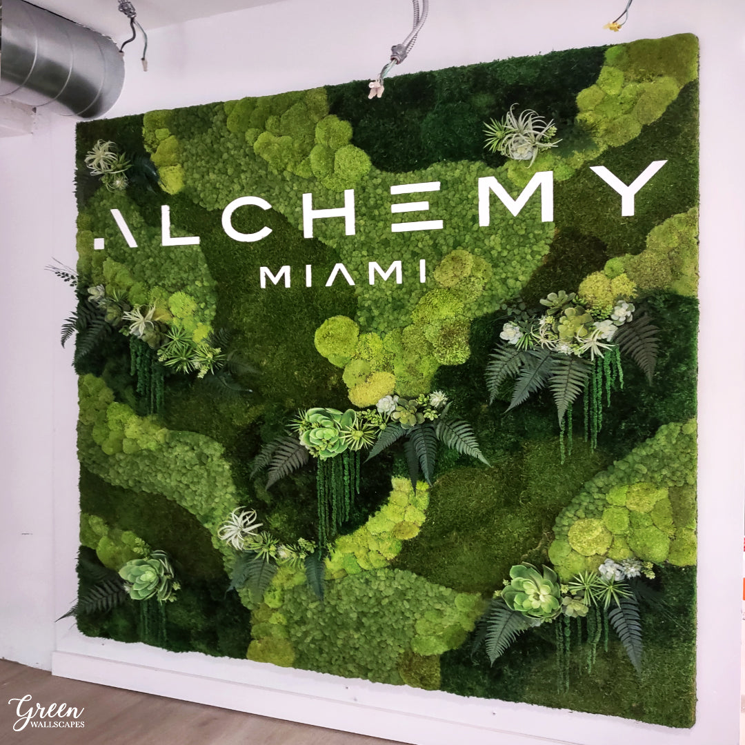 Exploring the Green Revolution: Are Preserved Moss Walls Expensive ...