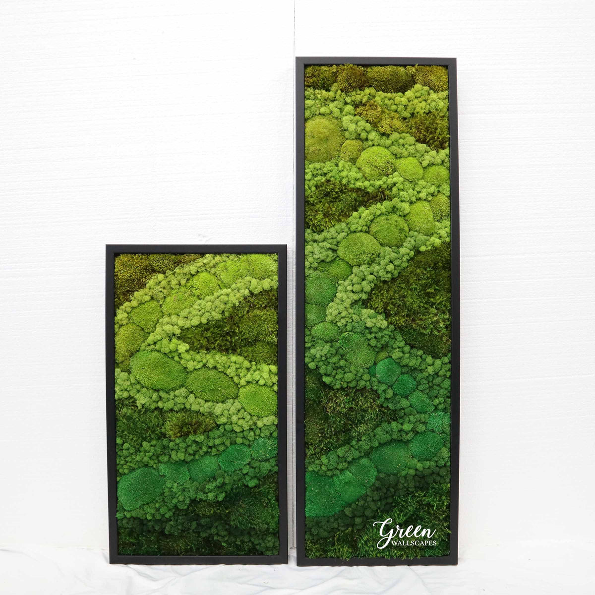 Ombre Moss Art – Green Wallscapes