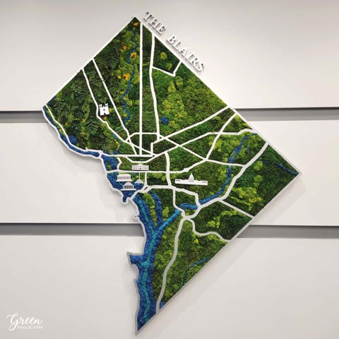 Custom Moss Maps – Green Wallscapes