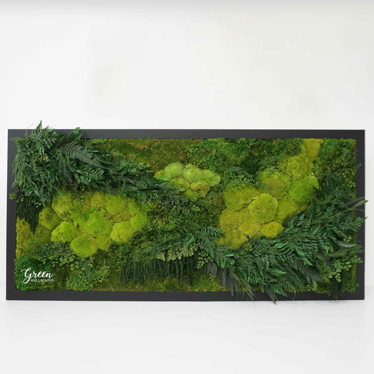 Custom Fern and Moss Wall Art - Green Wallscapes' Botanica Collection